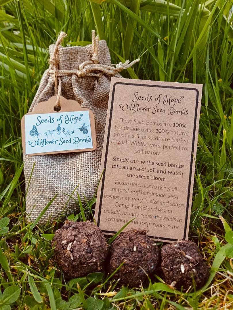 Native Wildflower Seed Bombs - Seed of Hope CIC
